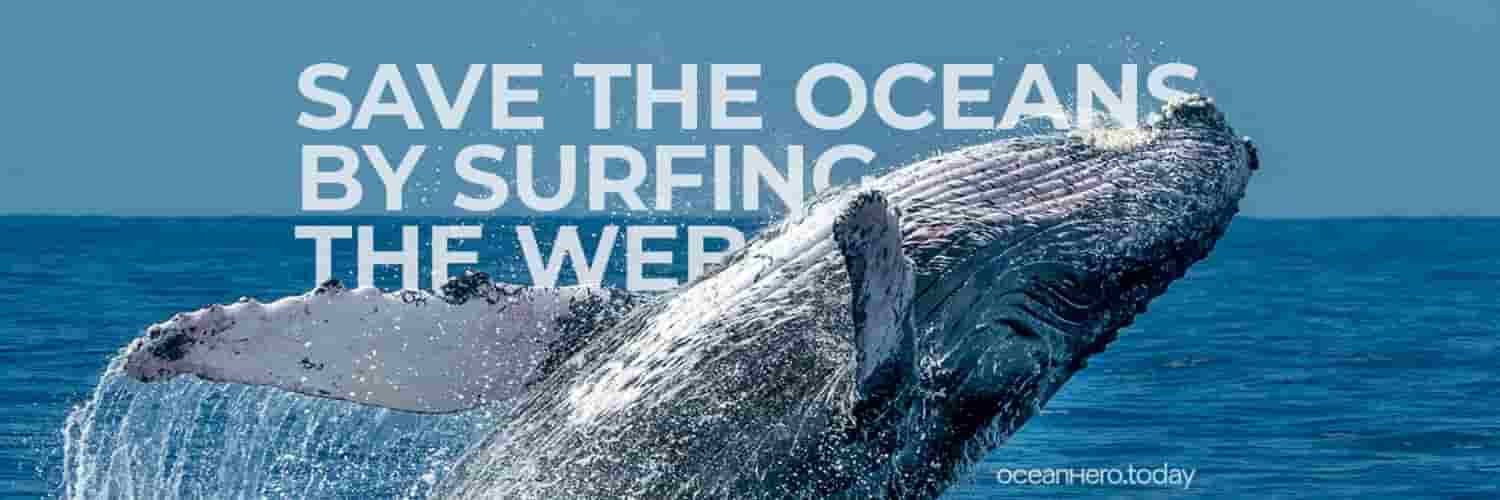 Oceanhero Bored Hoard